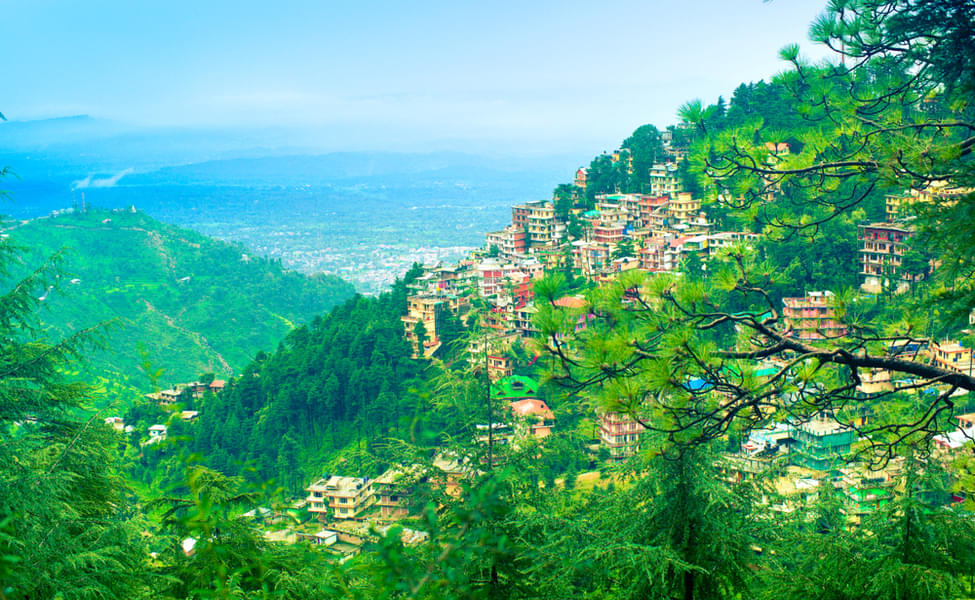 Best Experiences In & Around Kangra