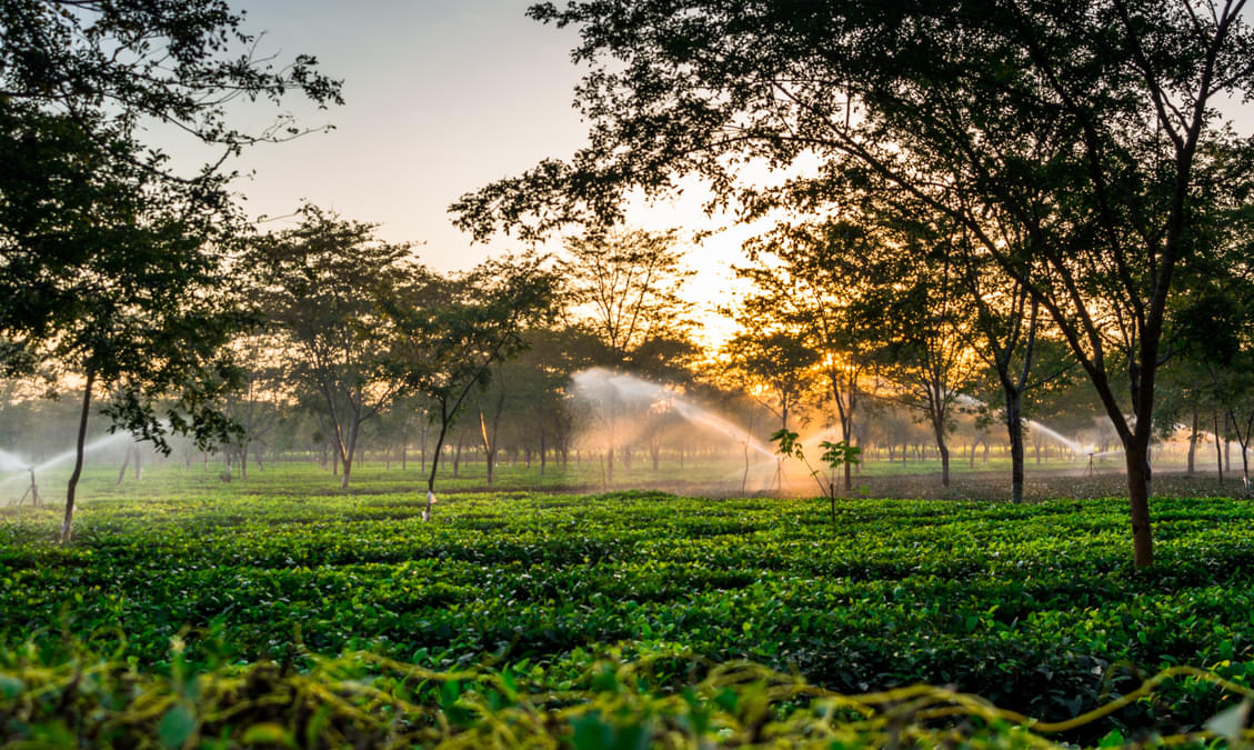 5 Resorts In Purulia, Book NOW & Get Upto 50% Off