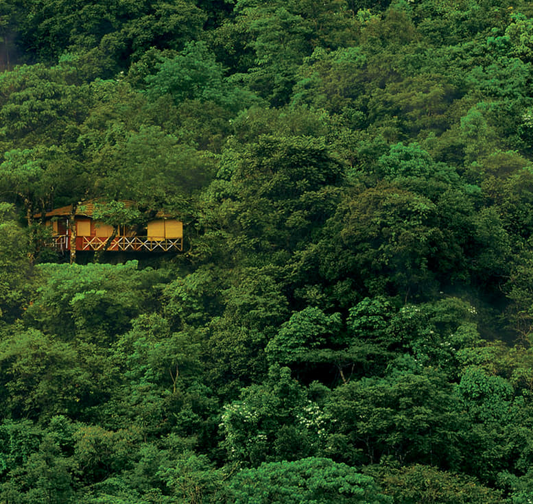 7 Must Visit Tourist Places in Thalassery