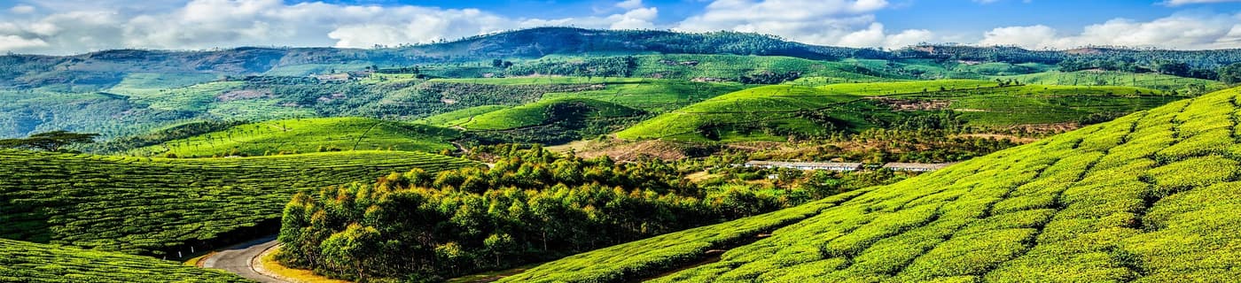 30 Places to Visit in Munnar, Tourist Places & Top Attractions