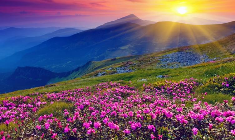 Karighatta Hill & Temple - A Detailed Travel Guide