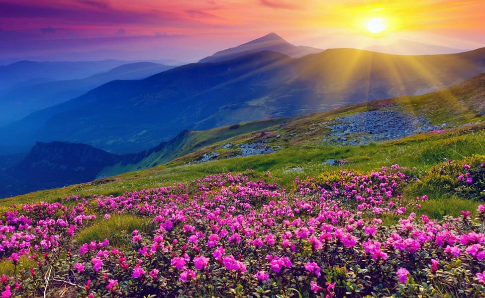 20 Places to Visit in Ooty, Tourist Places & Top Attractions