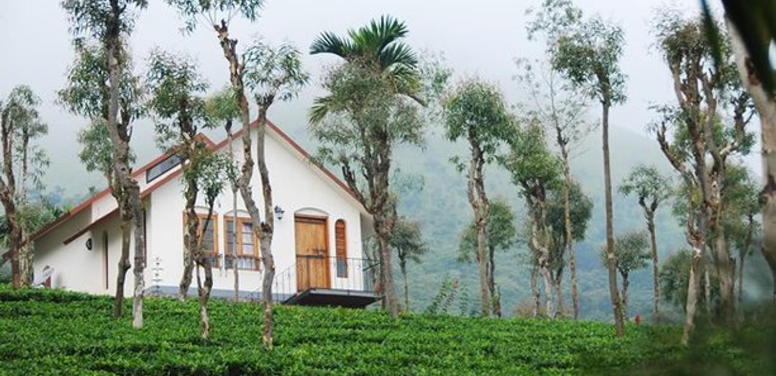 Wayanad Tea Plantation Stay, Book Now @ Flat 24% Off