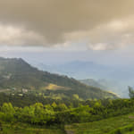 5 Resorts in Topslip, Book Now & Get Upto 50% Off