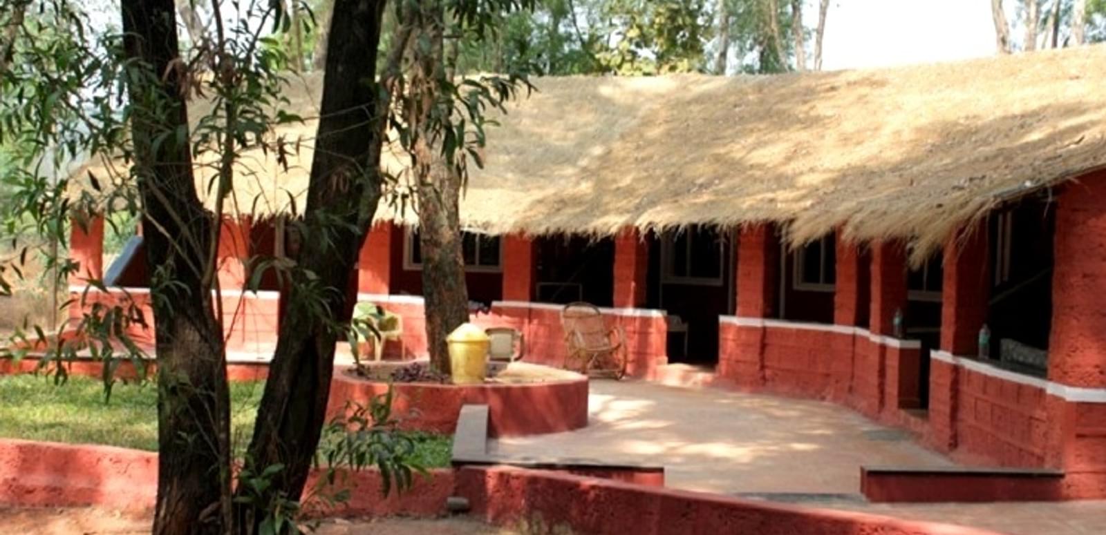 Safari And Stay At Jungle Resort Amba