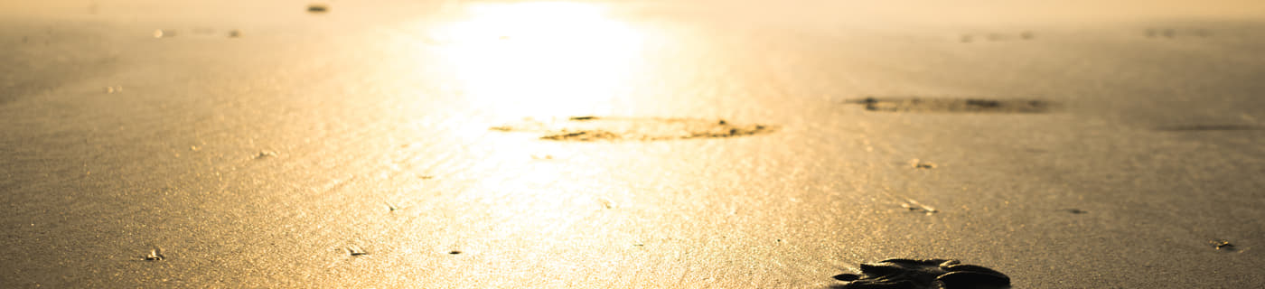 15 Beaches in Tarkarli: 2026 (With Location & Best Time)