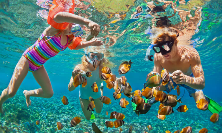 15 Things To Do In Tarkarli: 2026 (Starting from ₹800 Only)