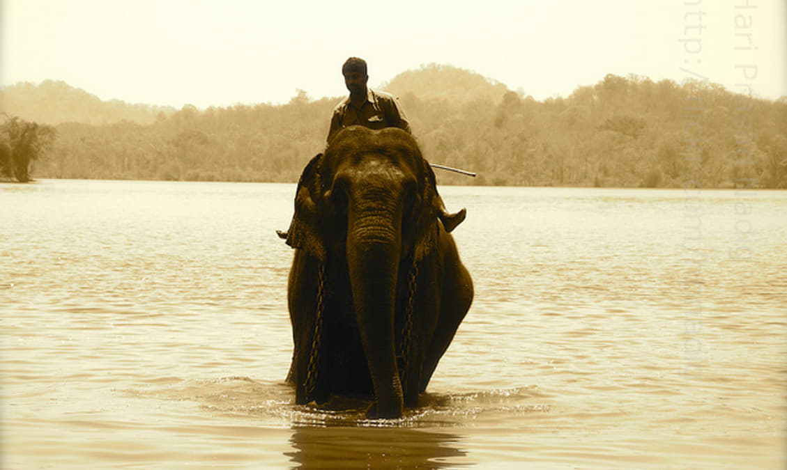 11 Best Tourist Places to Visit in Shimoga