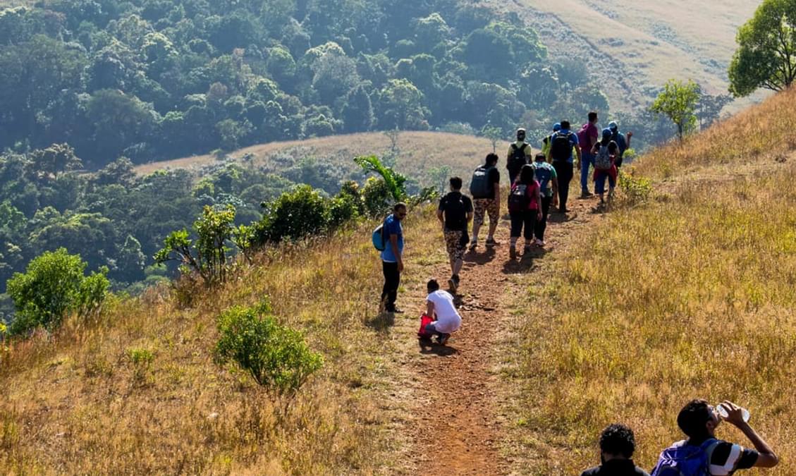40 Trekking Places near Bangalore | Starting From @₹850 Only!
