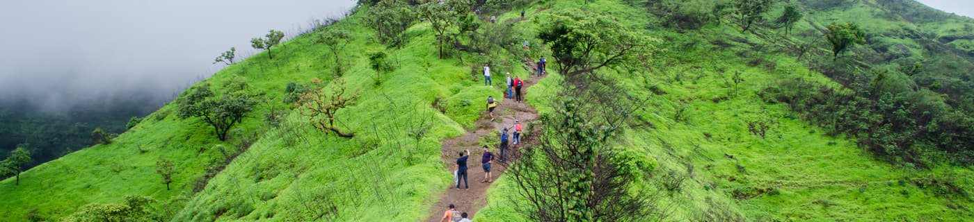 Trekking near Pune: Book Treks near Pune (Starting from ₹800)