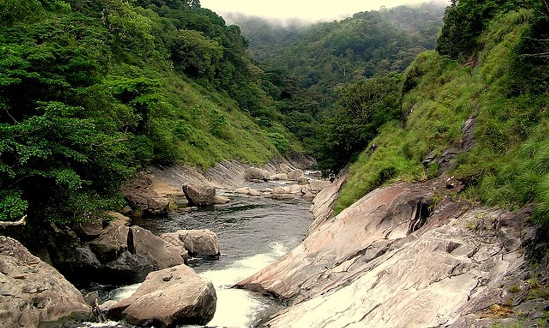 25 Wildlife Sanctuaries in Kerala One Must Visit In 2025!