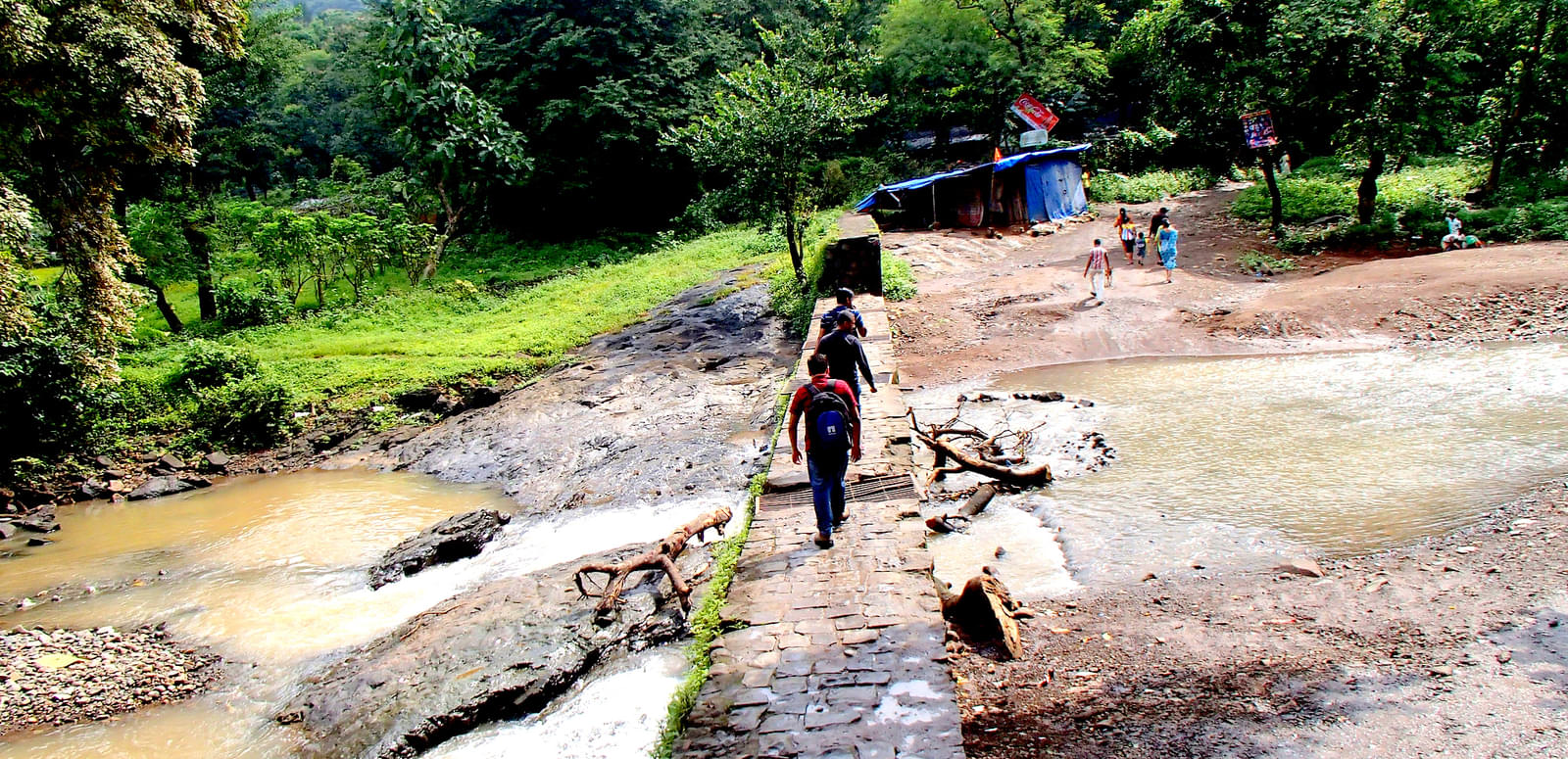 Trek To Tungareshwar, Mumbai