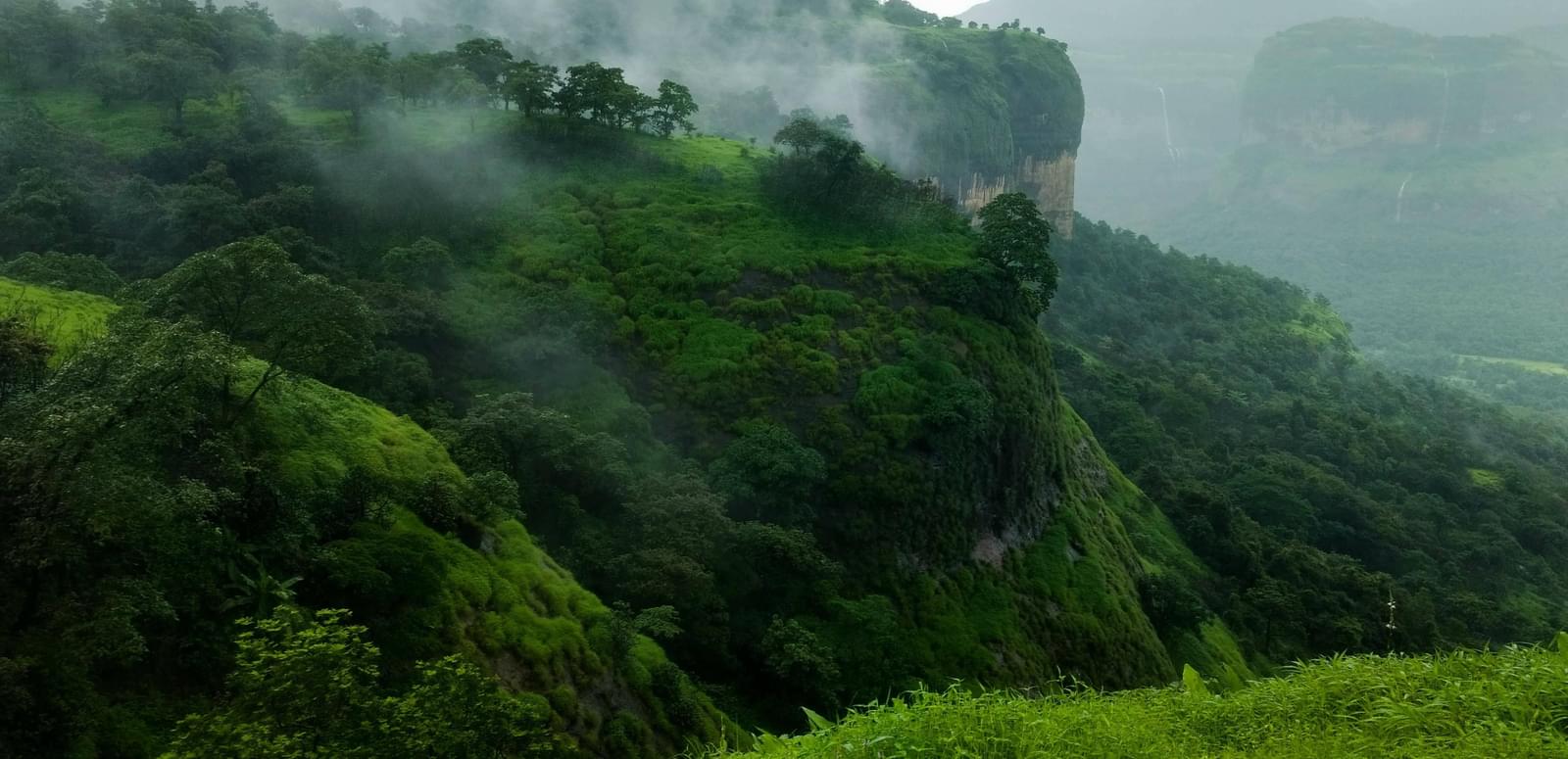 One Day Trek To Andharban, From Mumbai @ 1590 Only