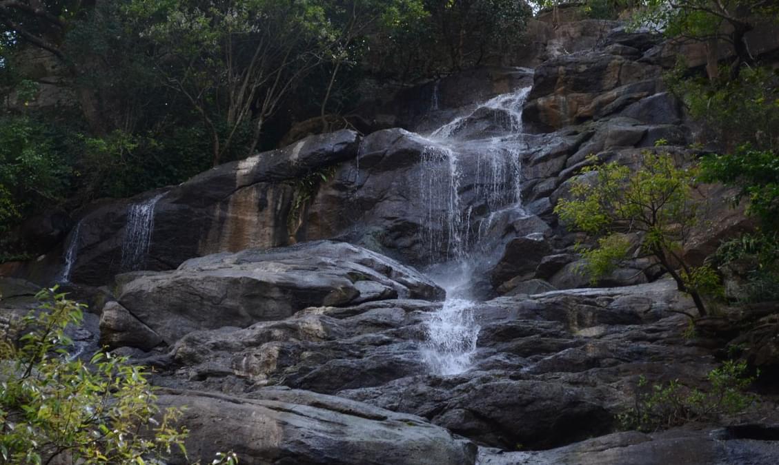 20 Places to Visit in Yercaud, Tourist Places & Attractions