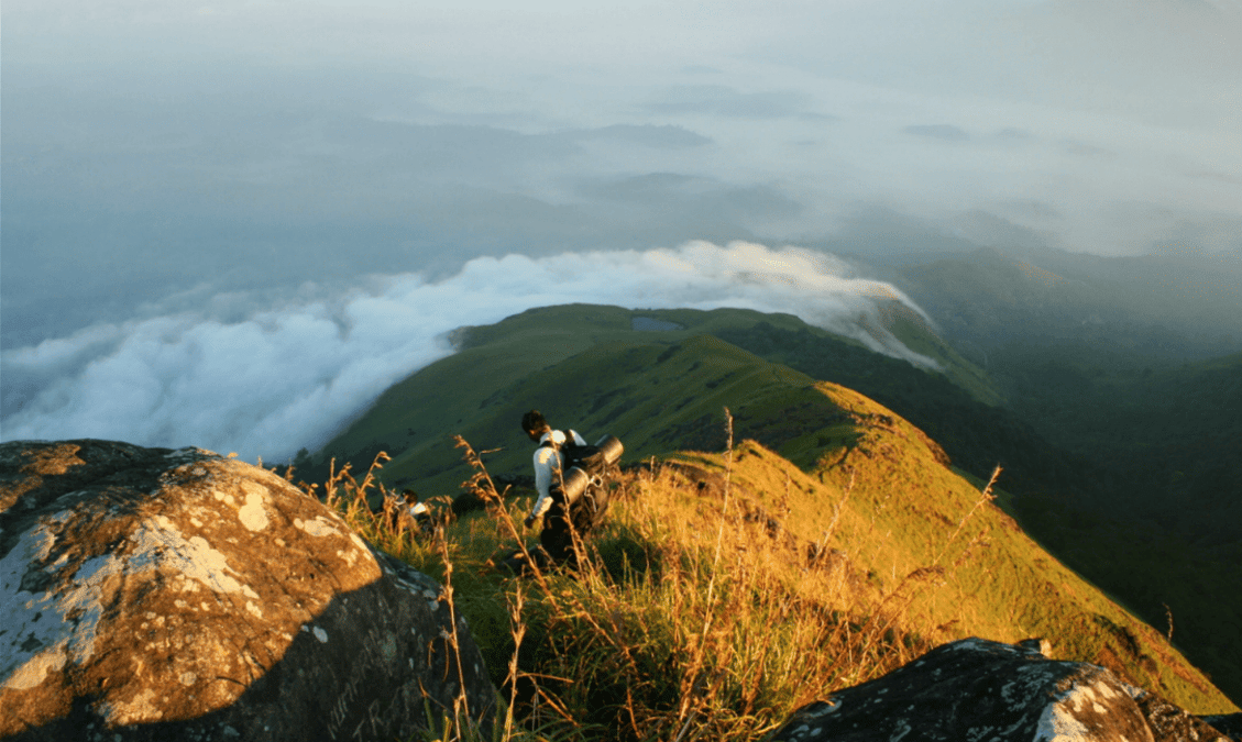 30 Wayanad Tourist Places: 2025 (Updated List With Photos)