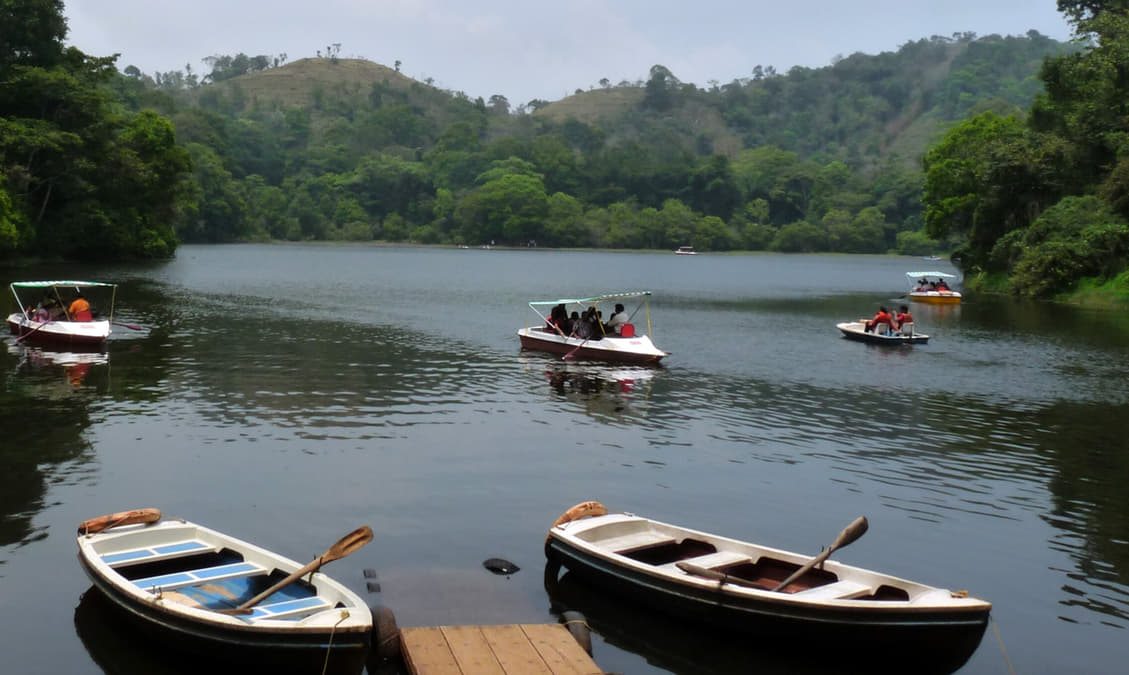 30 Wayanad Tourist Places: 2024 (Updated List With Photos)