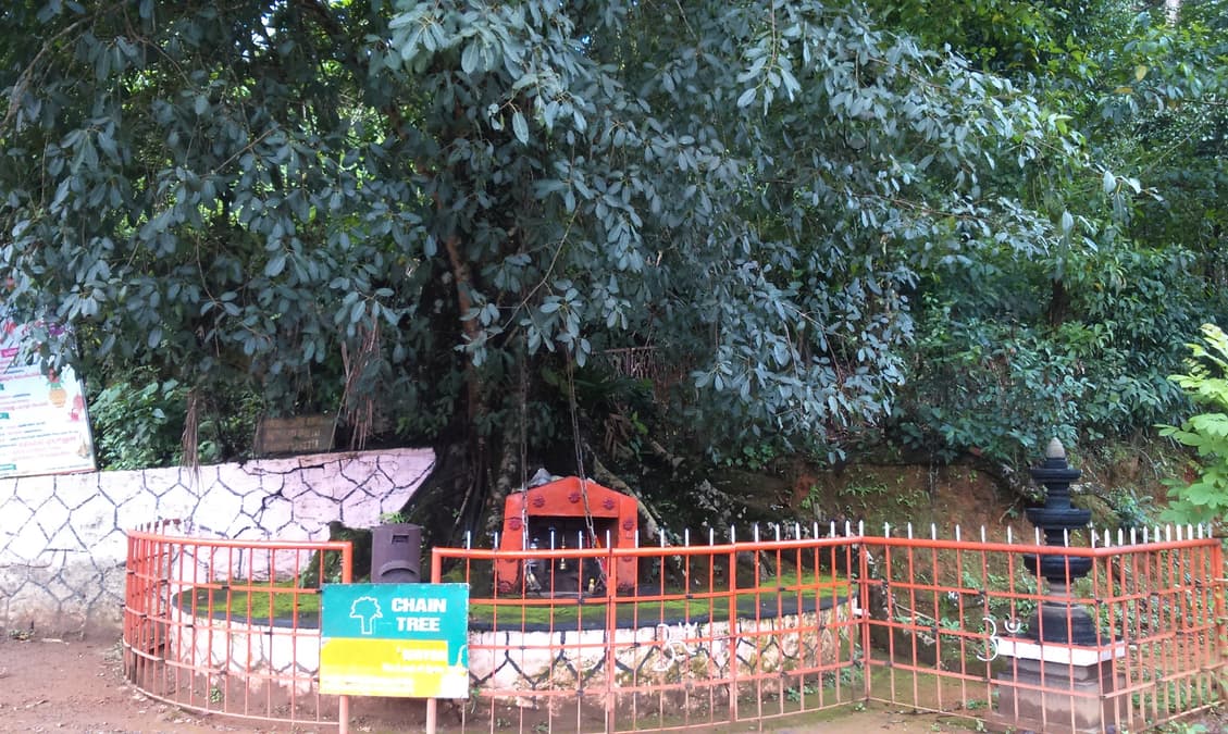 30 Wayanad Tourist Places: 2025 (Updated List With Photos)