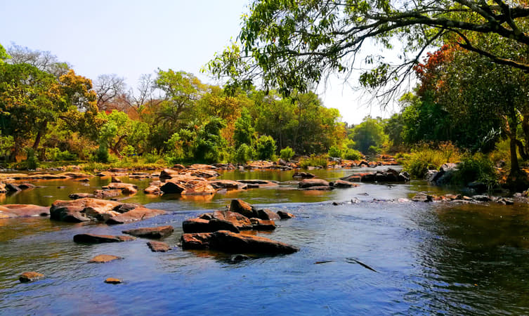 30 Wayanad Tourist Places: 2026 (Updated List With Photos)