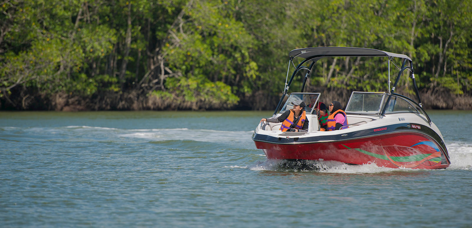 Mangrove Eco Safari Boat Ride In Malaysia