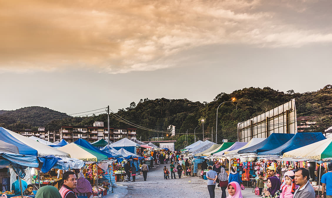 19 Best Things to do in Cameron Highlands