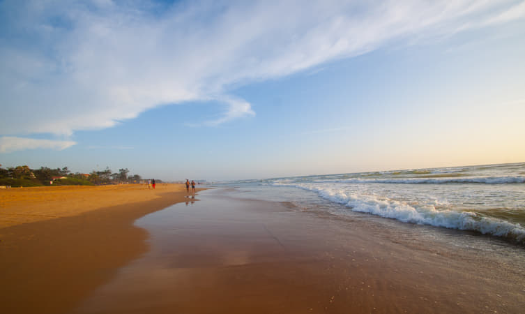 20 Best Beaches in South Goa For A Sun Kissed Getaway in 2026