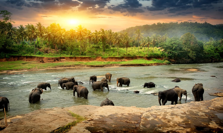 16 Places to Visit in Ella, Tourist Places & Top Attractions