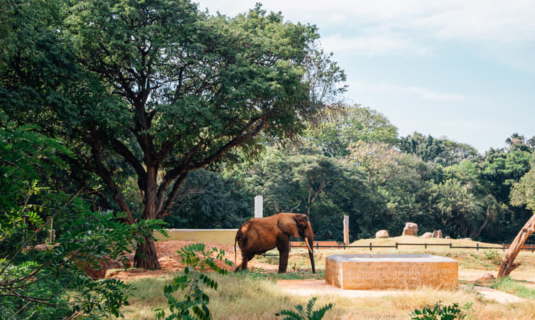 25 Places to Visit in Mysore, Tourist Places & Top Attractions
