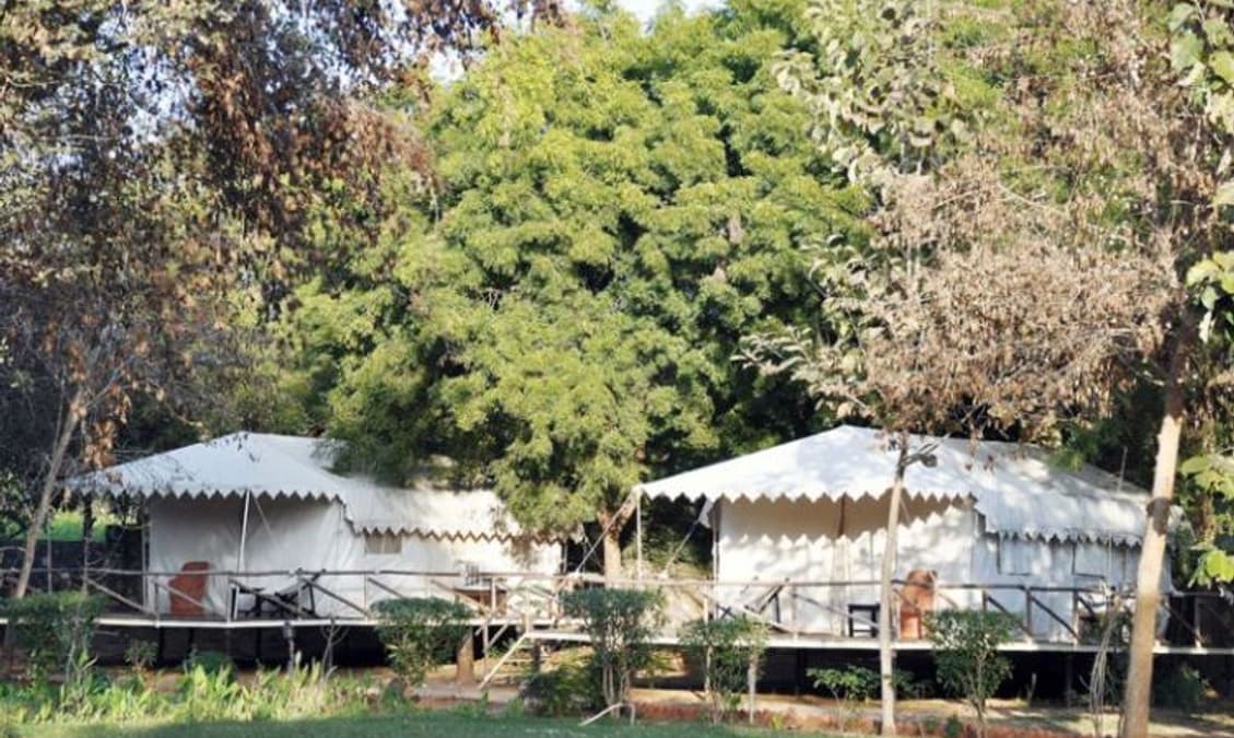 Ranthambore National Park Safari - A Detailed Guide