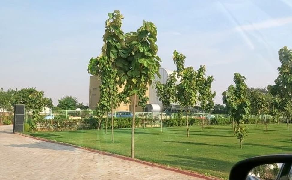 Manesar Tourism, India: Places, Best Time & Travel Guides 2023