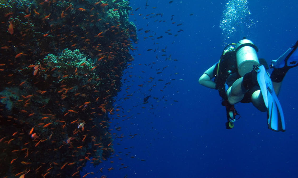 50 Best Scuba Diving Places in The World