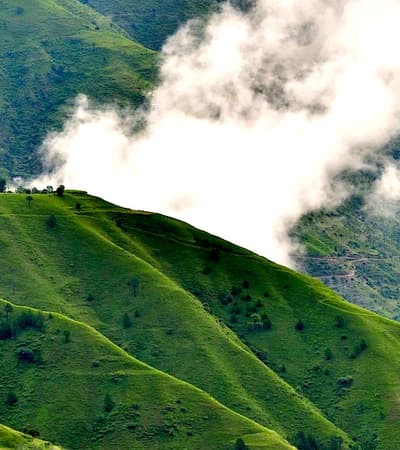 Chail Tour | Book Chail Sightseeing Tour @ Flat 16% Off