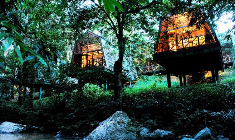 20 Best Wildlife Resorts in Asia
