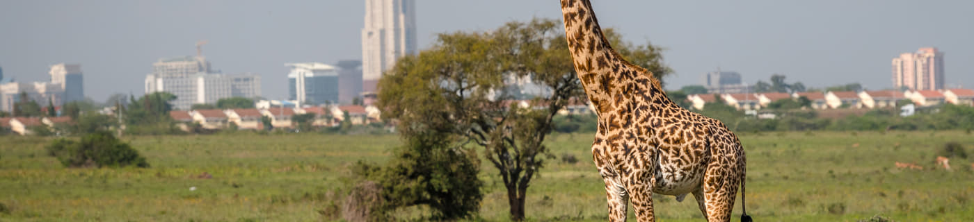 9 Places to Visit in Nairobi, Tourist Places & Top Attractions