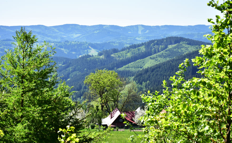 10 Places to Visit in Solan, Tourist Places & Top Attractions