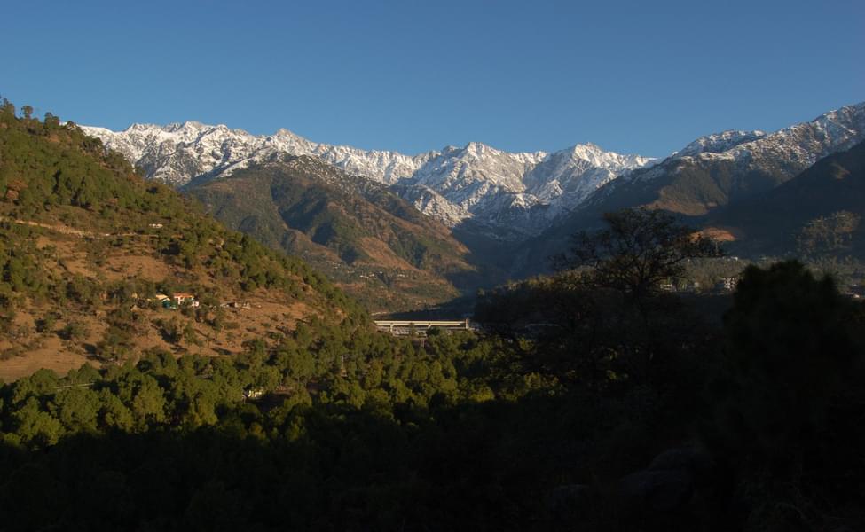 10 Places to Visit in Palampur, Tourist Places & Top Attractions