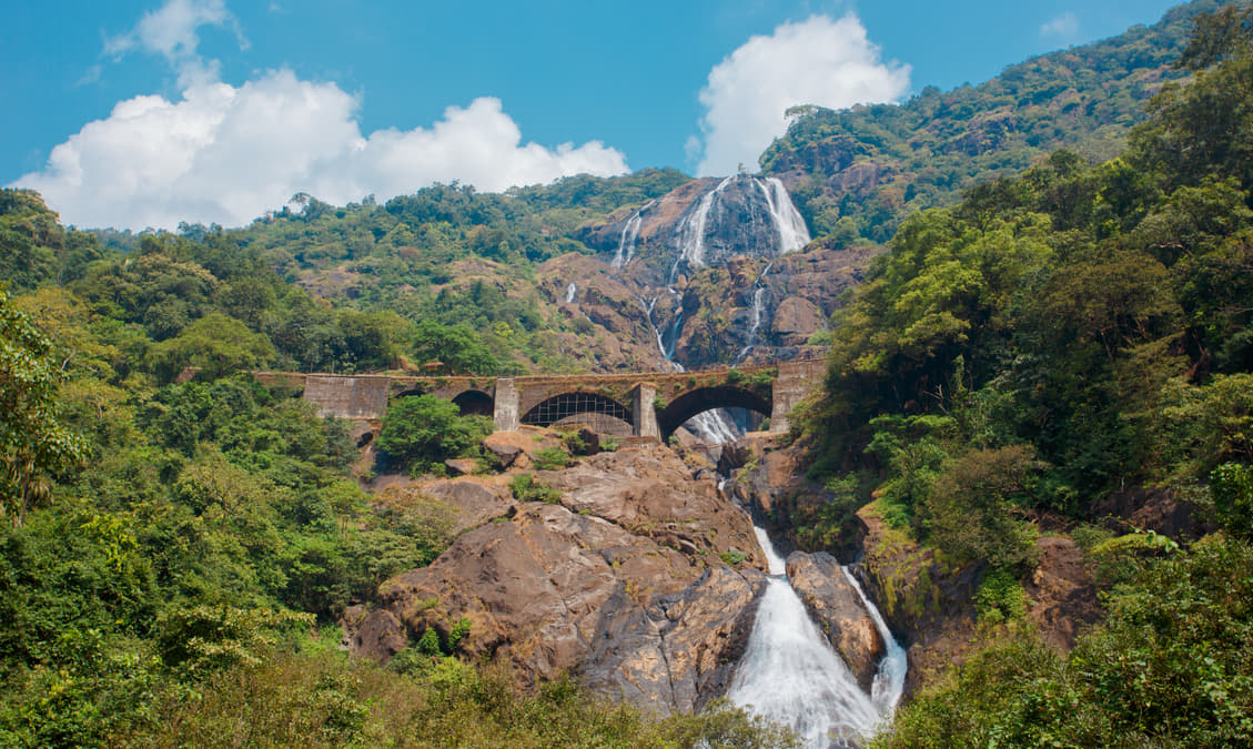 55 Best Things to Do in GOA - 2025 (Starting from ₹450 Only)