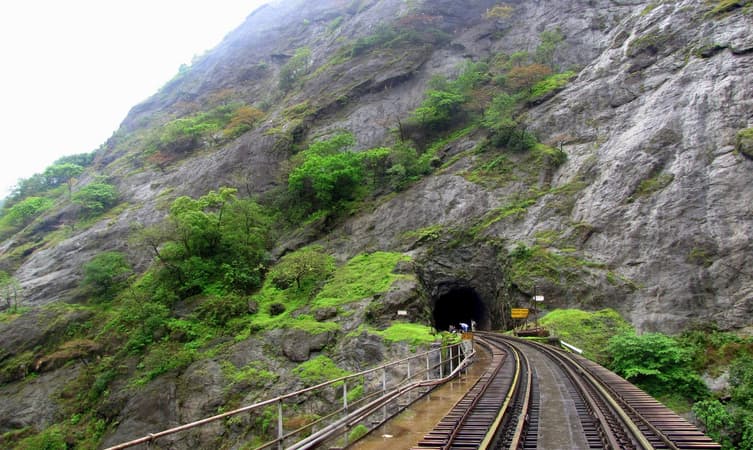 Bangalore to Yercaud – A Detailed Travel Guide