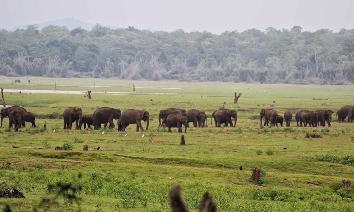 Bangalore to Coorg: Distance, Route Map, Do's & Dont's 2024