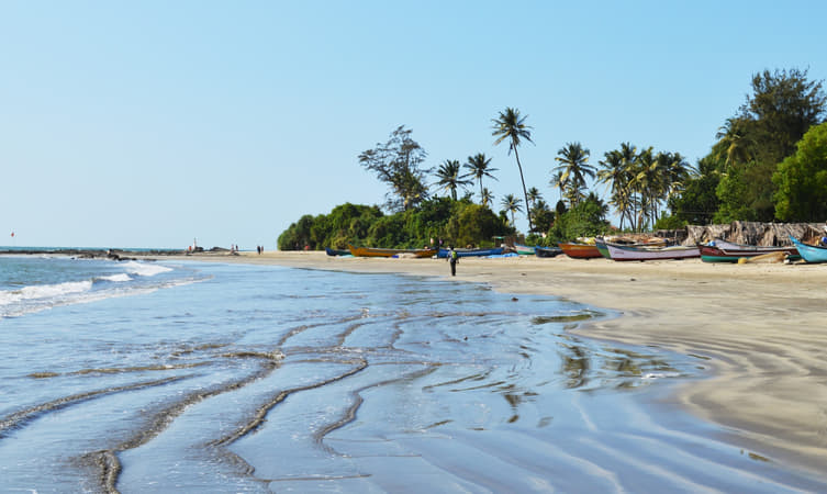 20 Beaches in North Goa That are Too Mesmerizing to Skip!