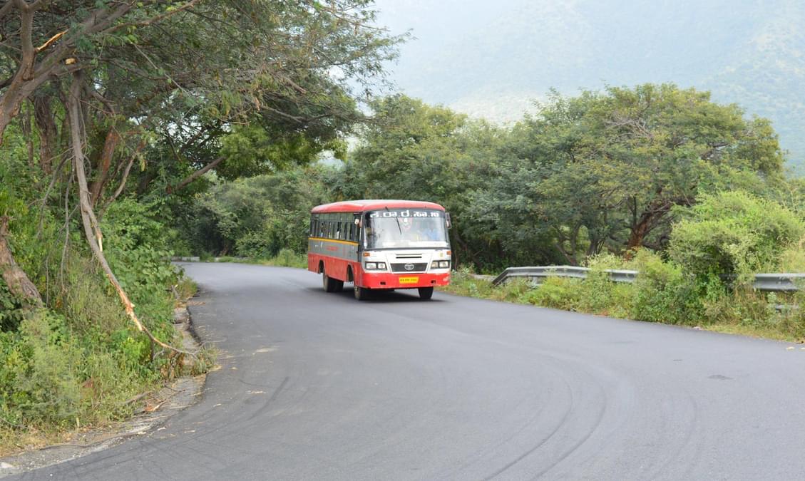Bangalore to Ooty: Distance, Route Map, Best Time - 2025