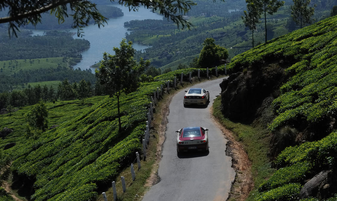 Bangalore to Ooty: Distance, Route Map, Best Time - 2025