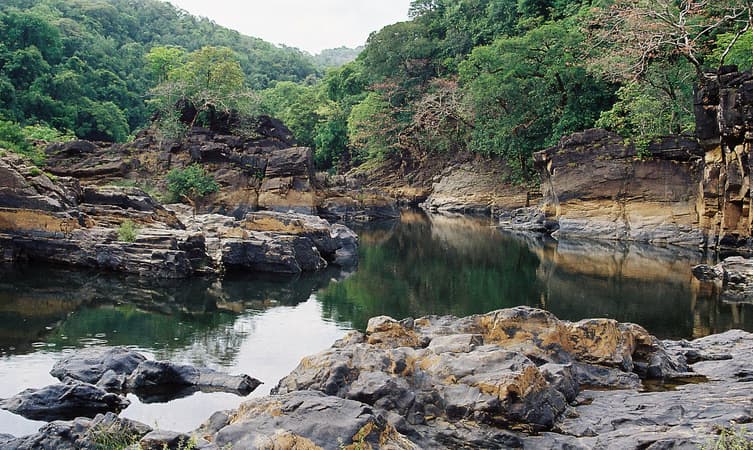 7 Best Wildlife Sanctuaries in GOA - 2026 (Photos & Reviews)