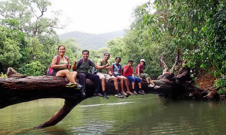 7 Best Wildlife Sanctuaries in GOA - 2025 (Photos & Reviews)