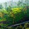 Dandeli Wildlife Sanctuary: Safari Timings, Entry Fee & Camps