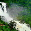12 Best Waterfalls in Shimoga - 2025 (Photos & Reviews)