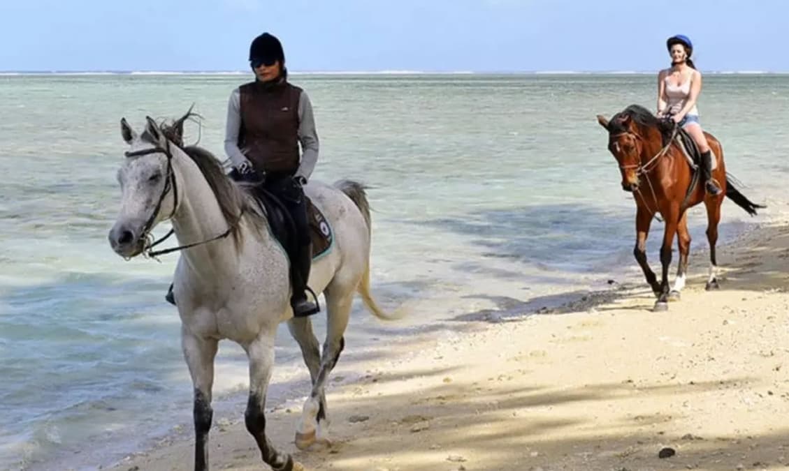 25 Things to Do in Mauritius on Honeymoon | UPTO 30% Off