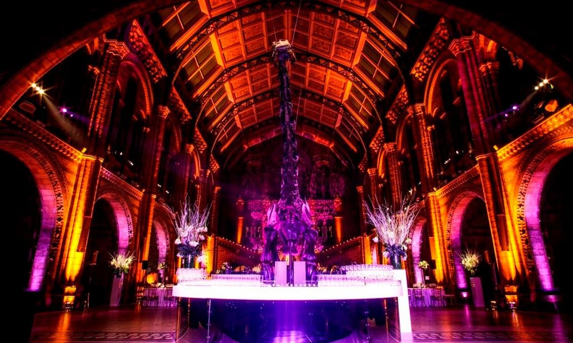 30 BEST Party Places in Goa That You Simply Cannot Miss