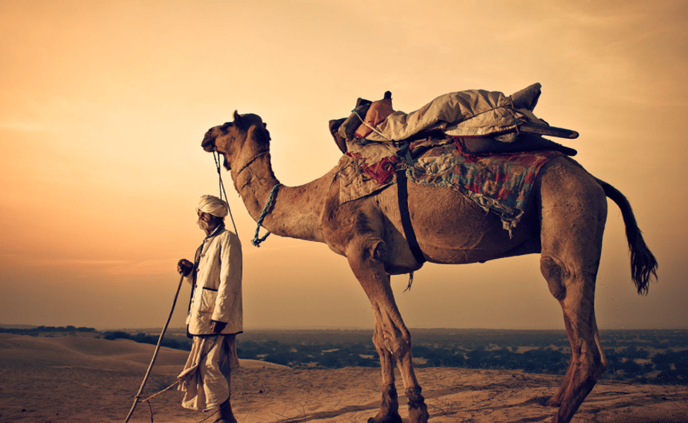 45 Things to Do in Jaisalmer: 2025 (Starting from ₹400 Only)