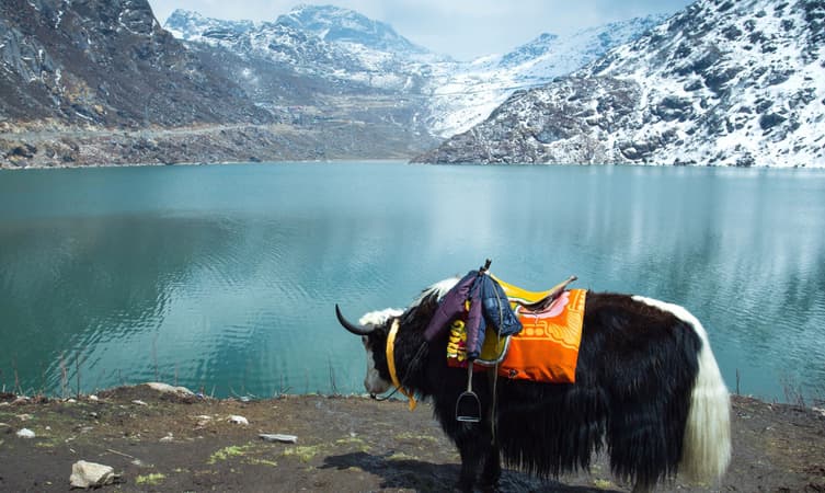 15 Adventure Activities in Sikkim: Get Upto 25% Off