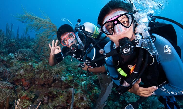 50 Reasons to Visit Goa Every Year